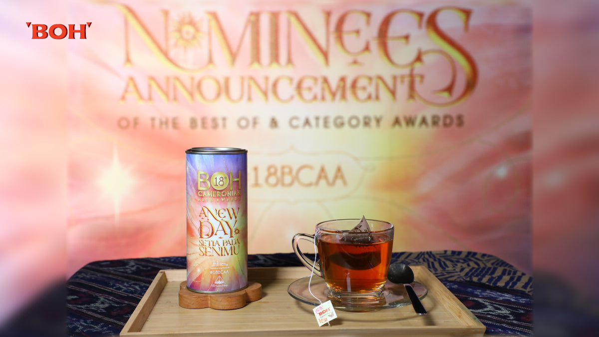 Giải thưởng nghệ thuật BOH Cameronian lần thứ 18 mang lại tiếng vang l ...